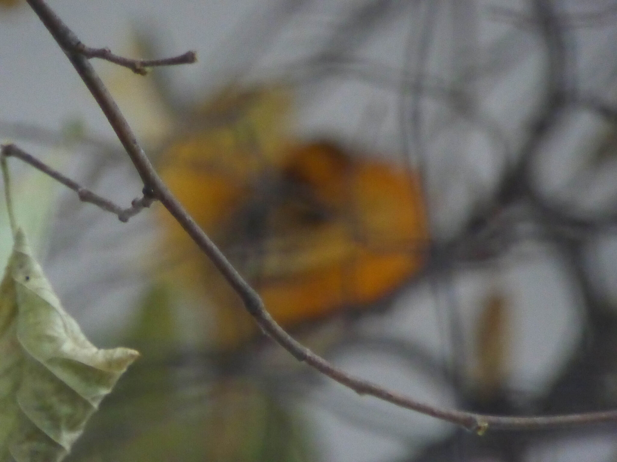 Jesus in Nazareth – Jesus im Heute – Ansichtssache